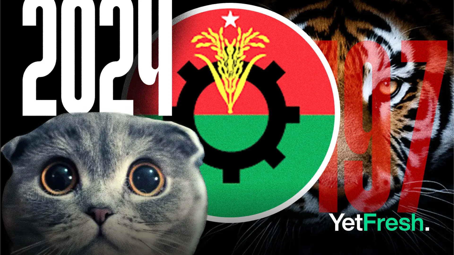 BNP Leader’s Bizarre 1971 Analogy ‘July Is a Tiger’s Aunt Cat’ - Yet Fresh
